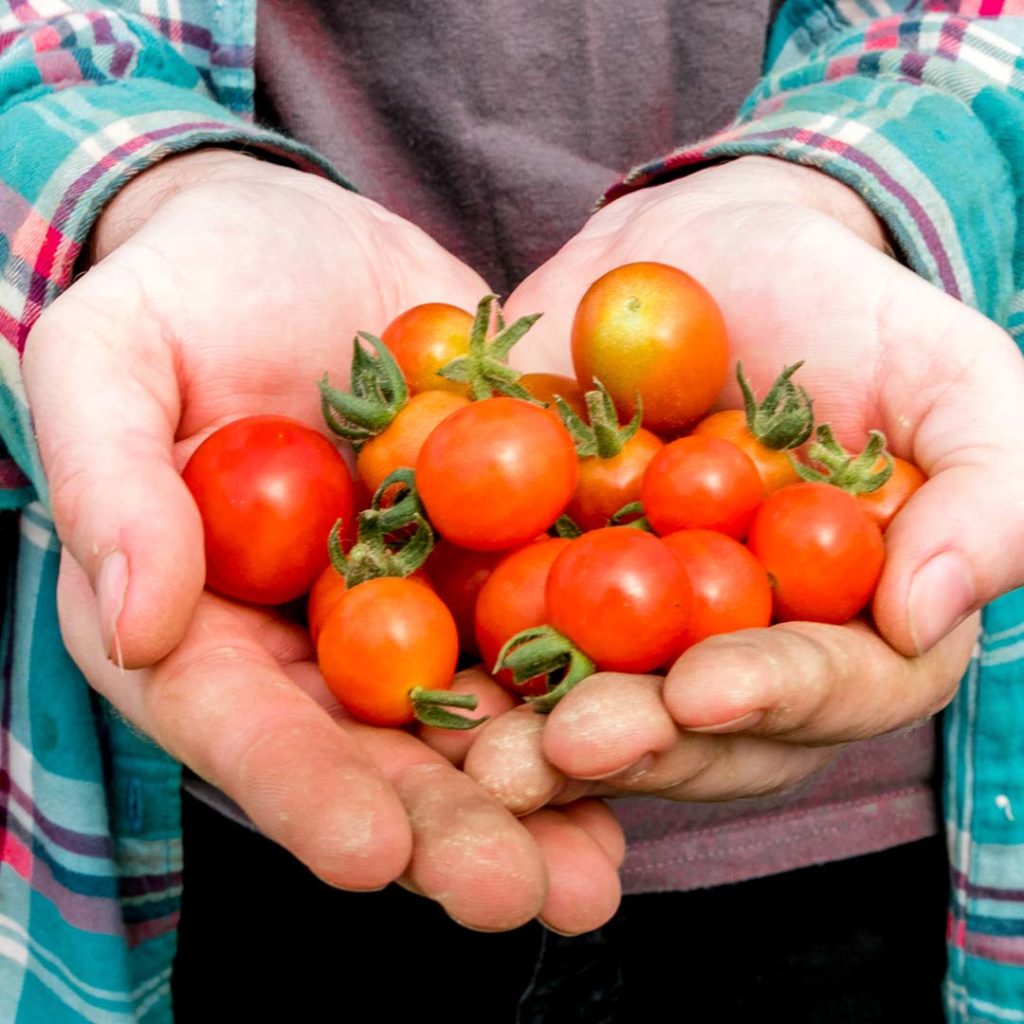 Decorah, Iowa: Top Attractions, Hidden Gems & Local Favs