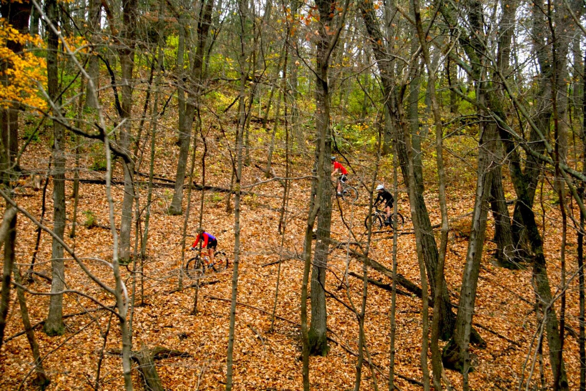Trails - Visit Decorah