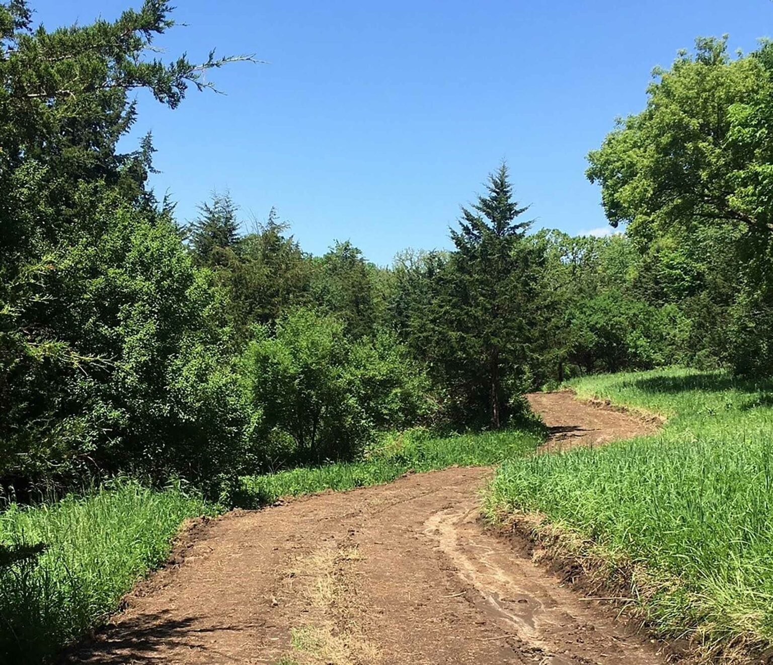 Trails - Visit Decorah