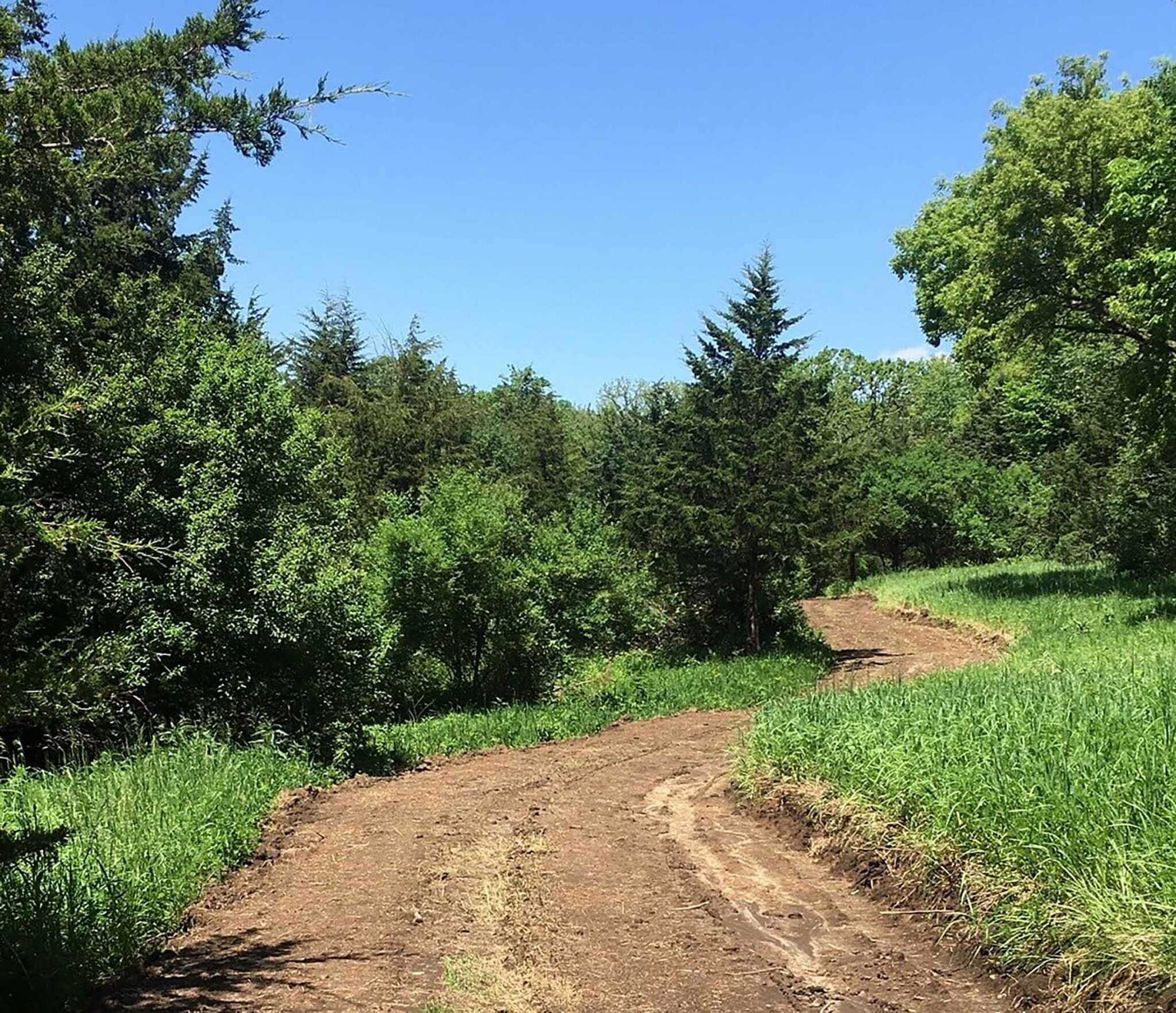 Trails - Visit Decorah