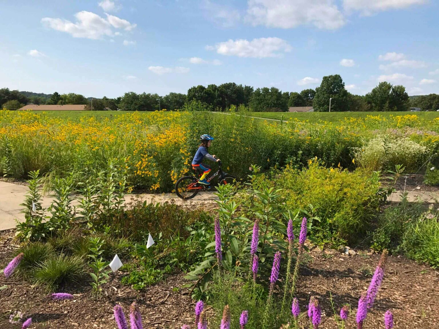 Trails - Visit Decorah