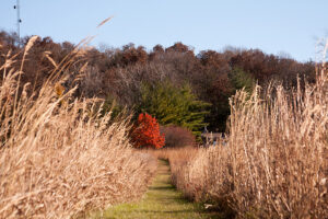 Hiking & Biking Trails in Decorah, Iowa | Visit Decorah