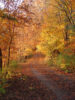 Trails - Visit Decorah