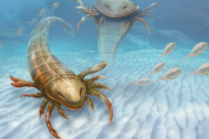 Decorah in a Day / The Must-Do Bucket List Itinerary - Visit Decorah