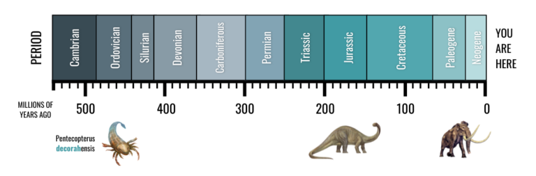 Decorah Impact Crater - Visit Decorah