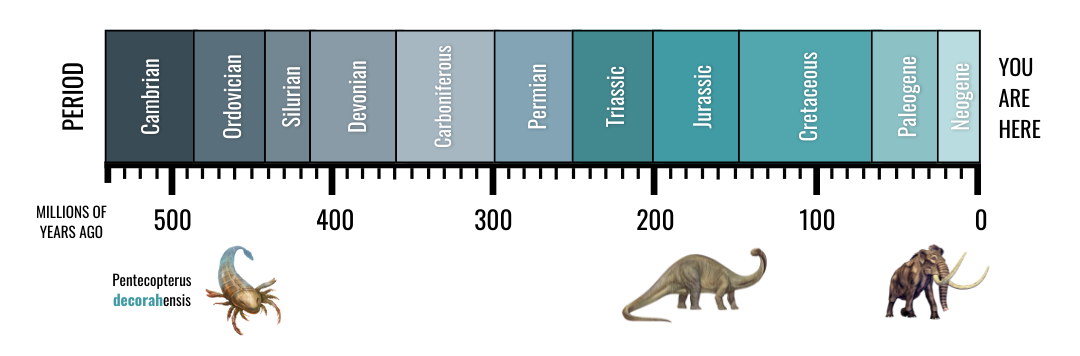 Decorah Impact Crater - Visit Decorah