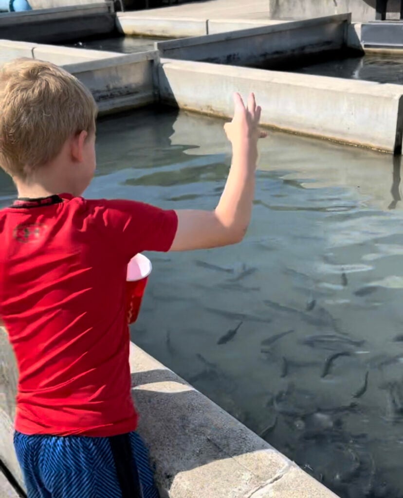 Decorah in a Day / The Must-Do Bucket List Itinerary - Visit Decorah